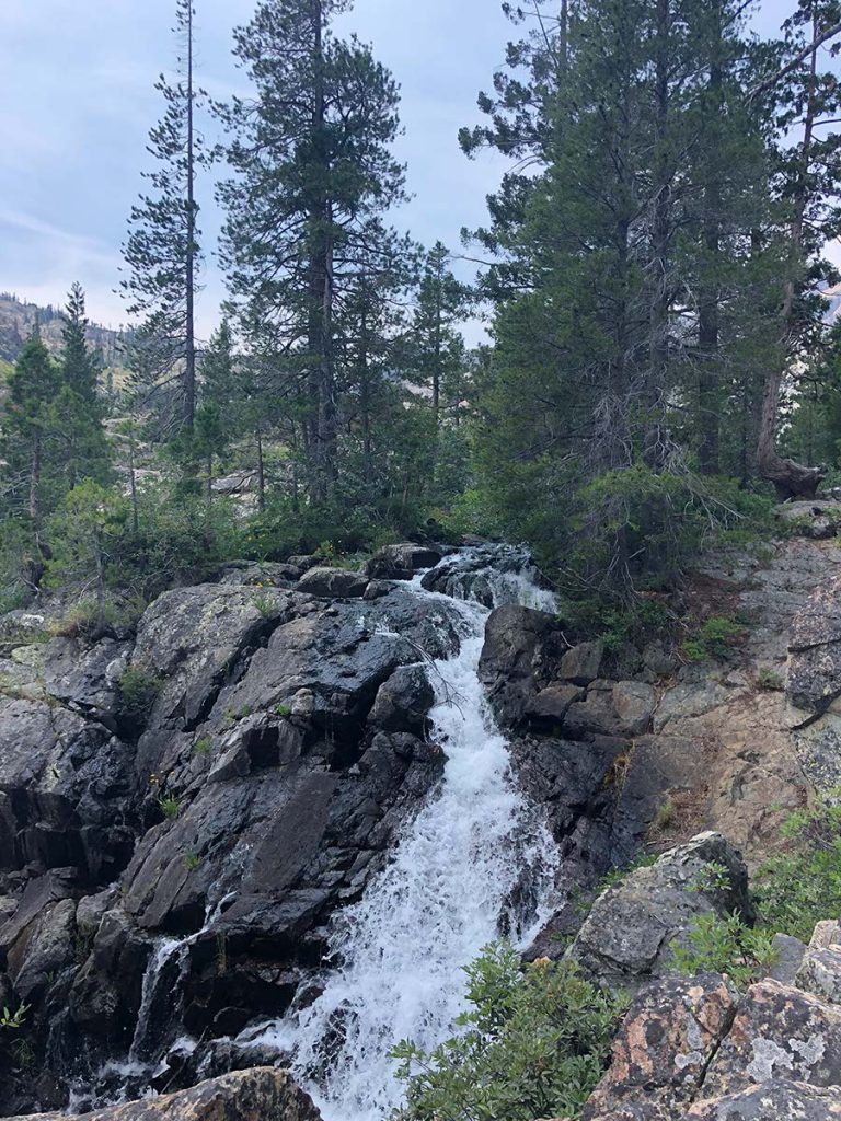 Lost Sierra California | Things To Do In Quincy, CA