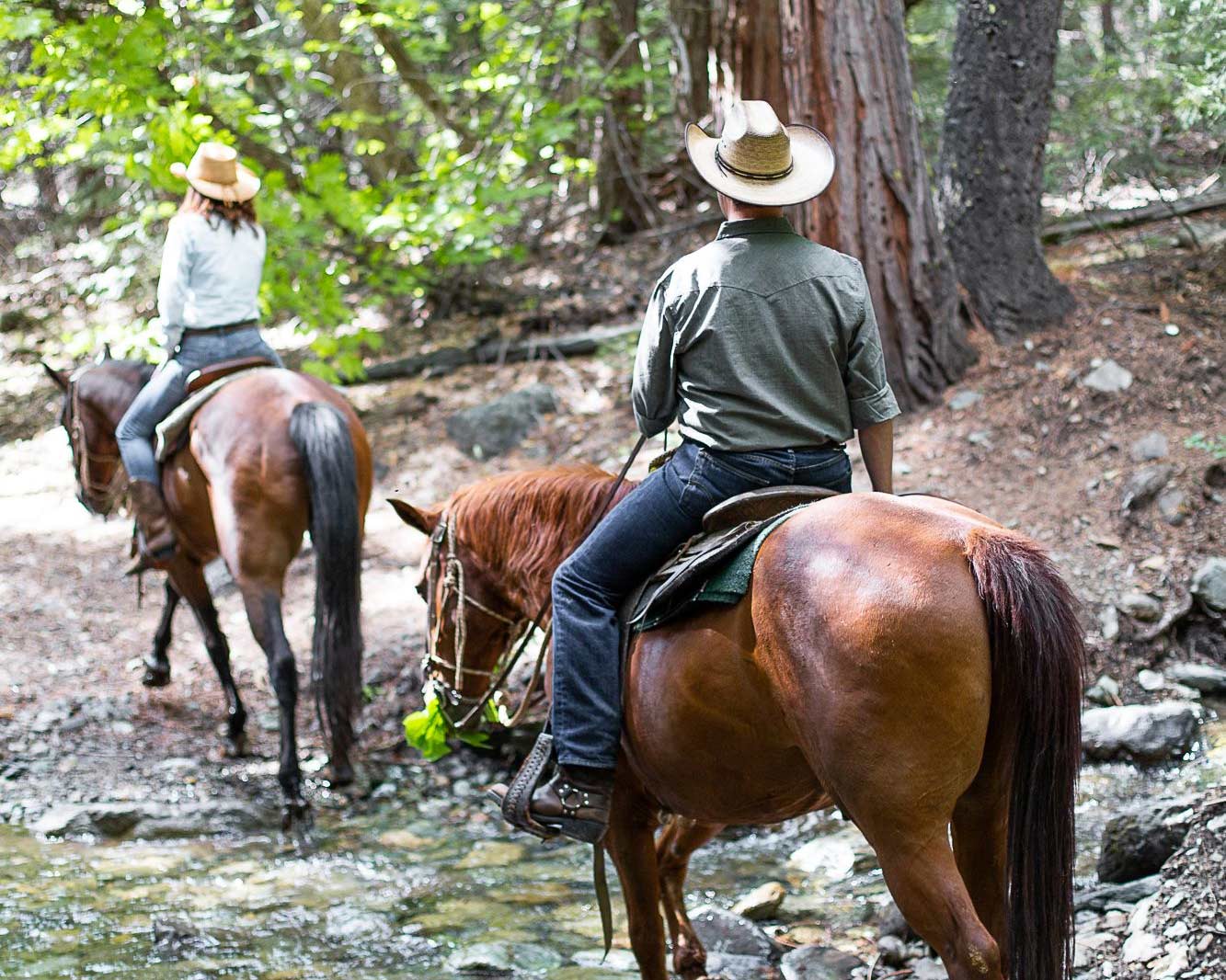 Horseback Riding At Our CA Dude Ranch | Lessons, Trails, & More