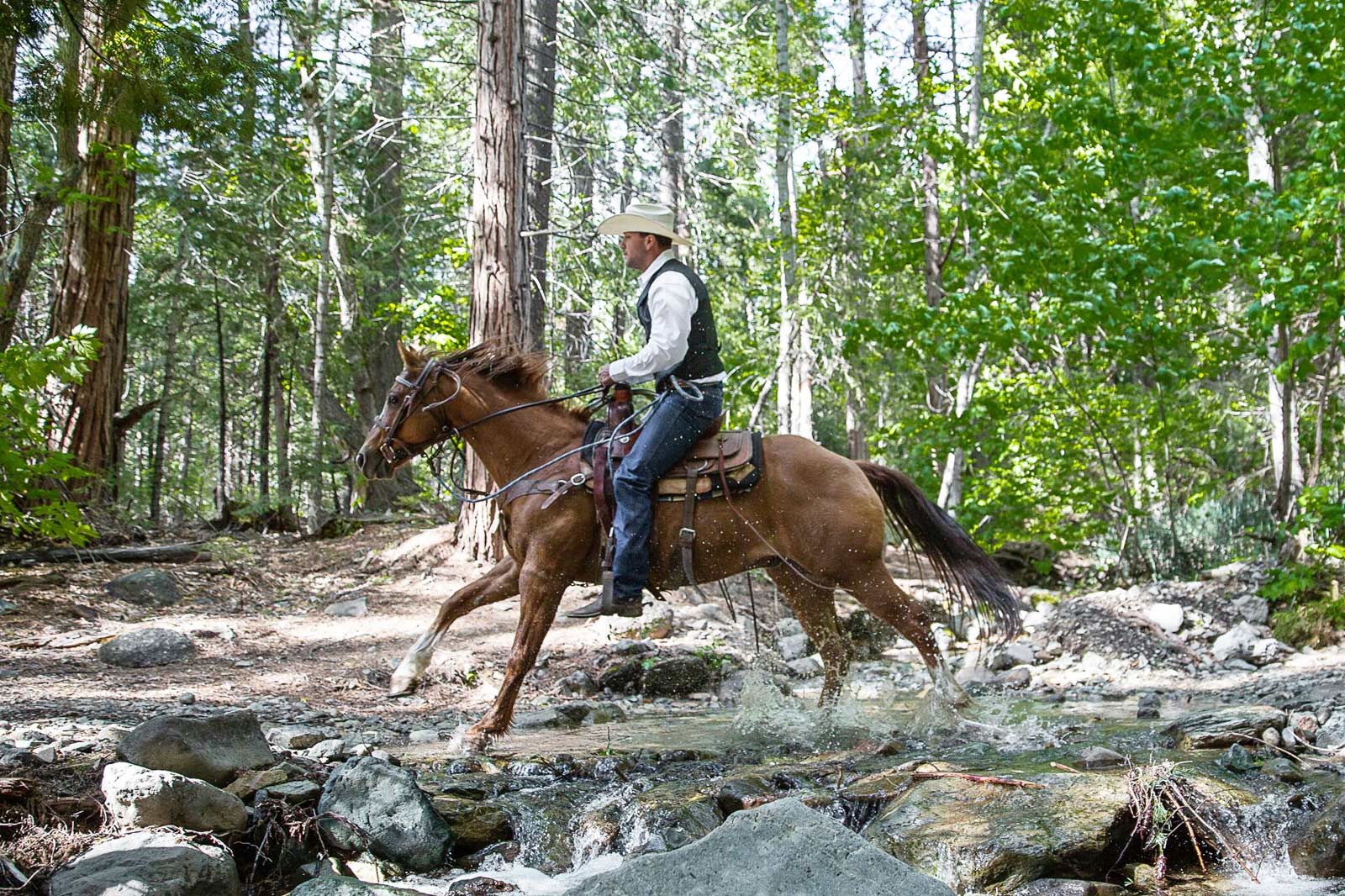 Horseback Riding At Our CA Dude Ranch | Lessons, Trails, & More