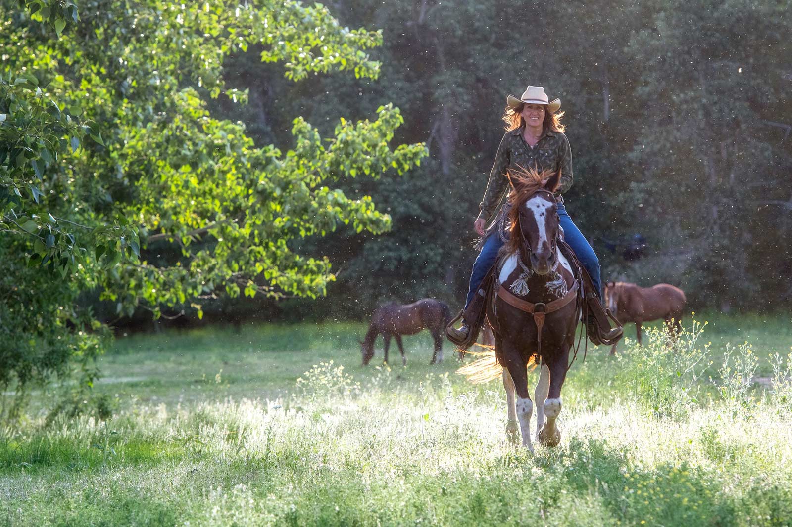 Horseback Riding At Our CA Dude Ranch | Lessons, Trails, & More