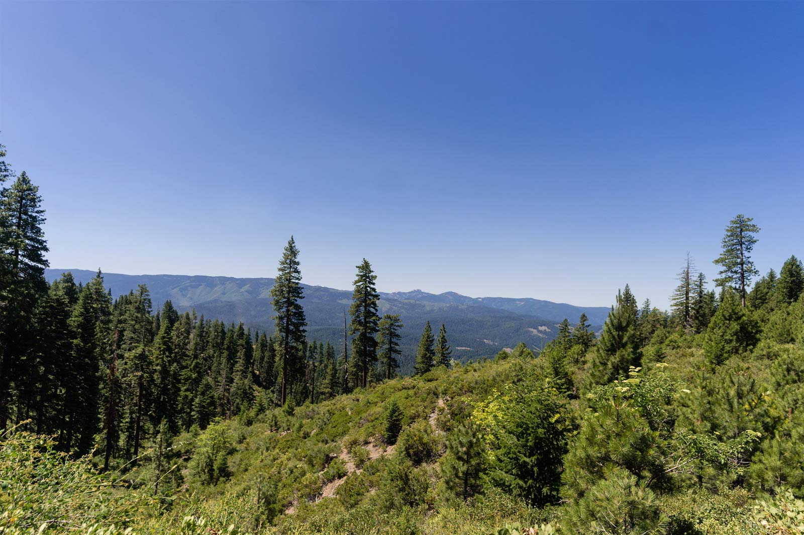 Hiking In Northern California | Northern California Vacations