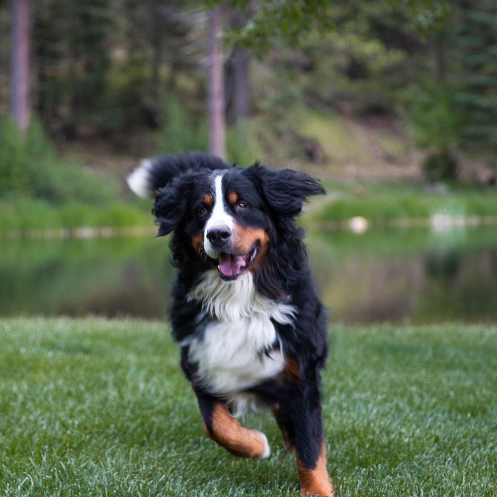 Vacation Packages & Specials At Our California Dude Ranch