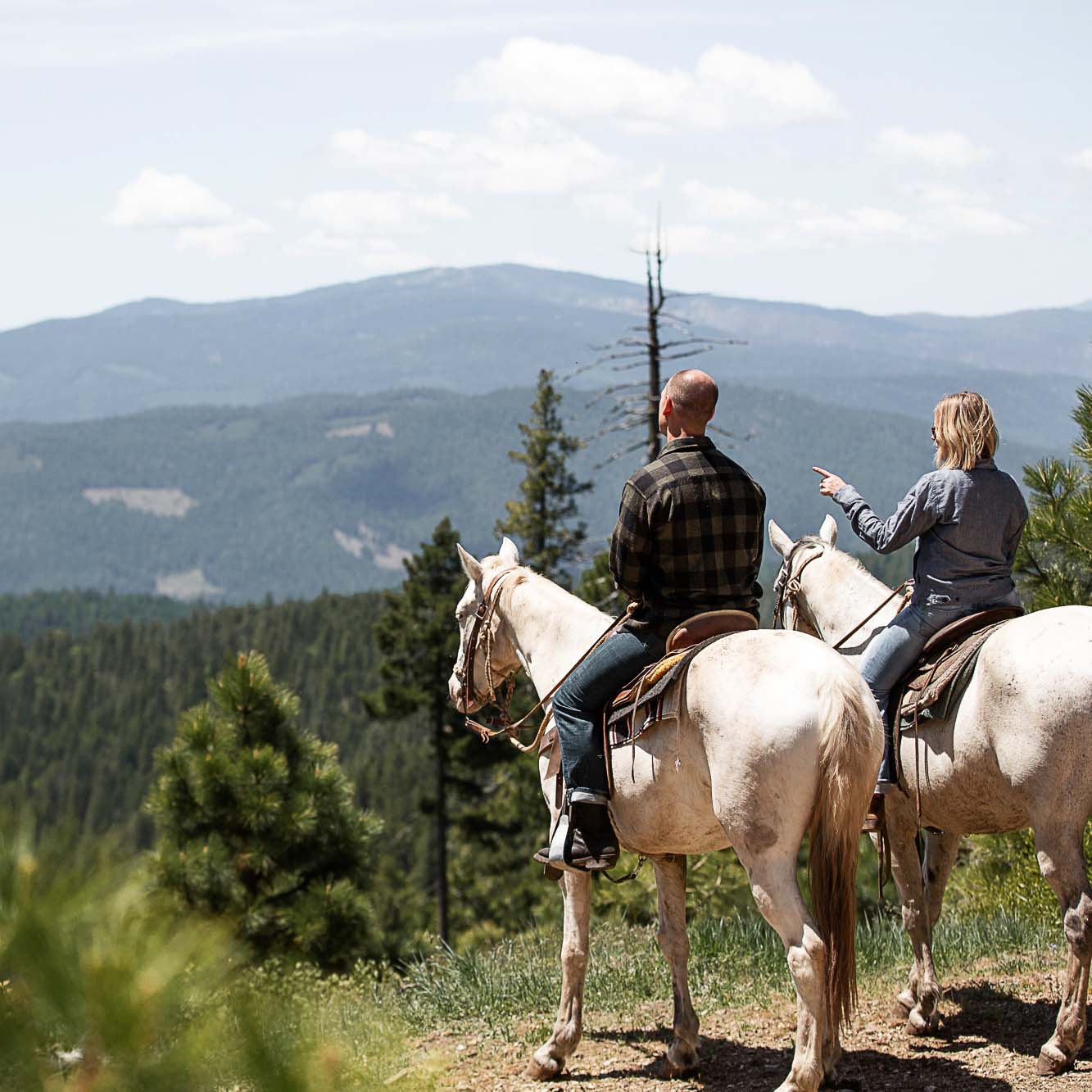 California's Finest Dude Ranch - Greenhorn Ranch