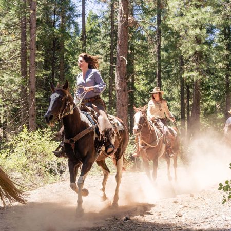 Live Like The Yellowstone Family At CA's Finest Dude Ranch